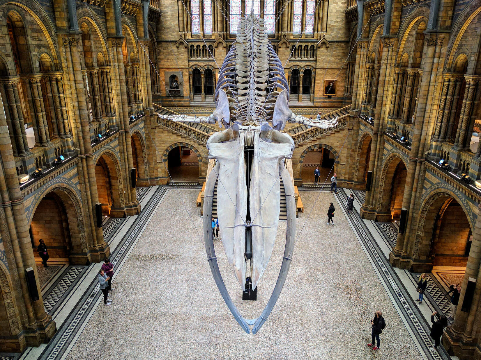 Michael Hintze - Natural History Museum Offered Perks to Benefactor and ...