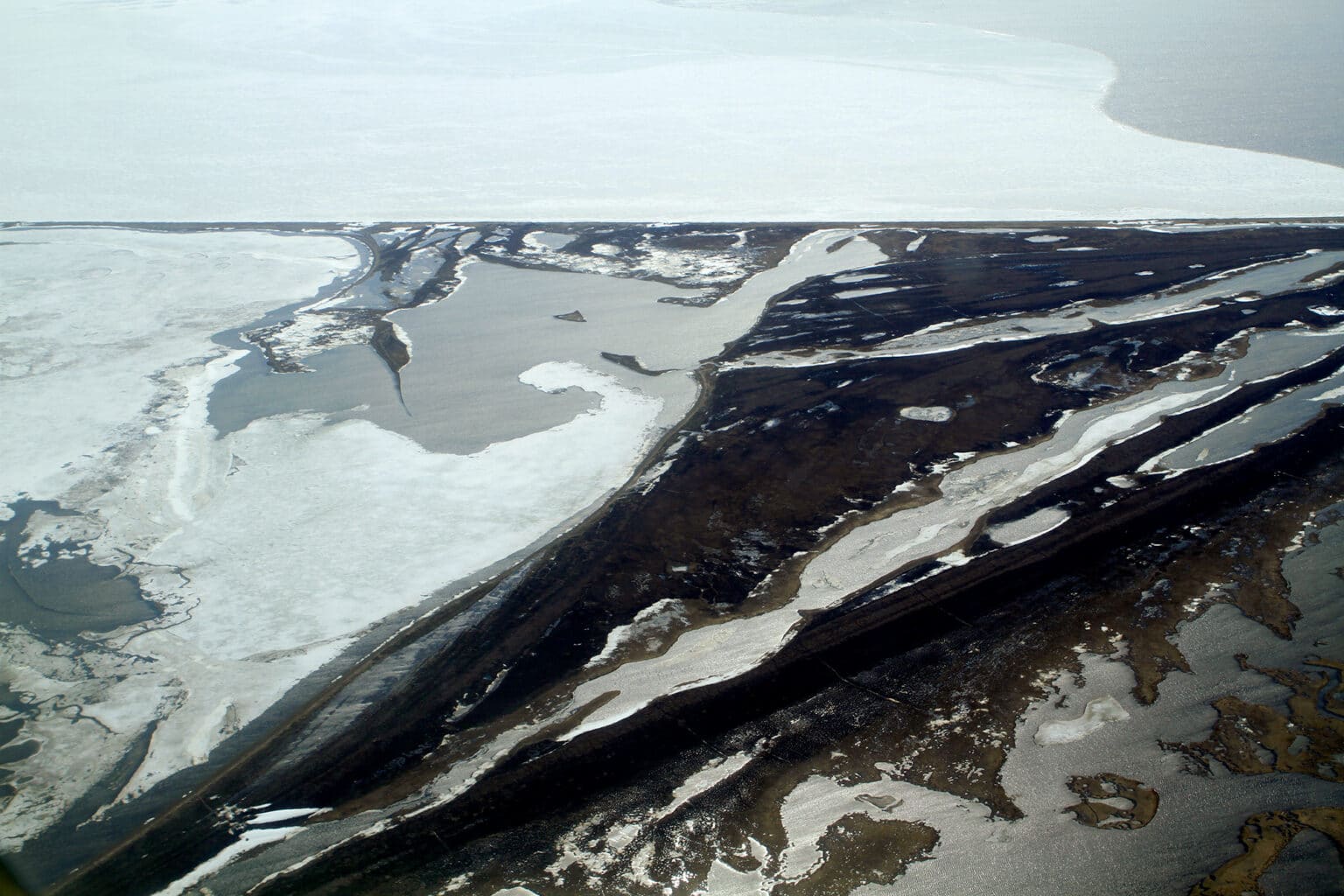 The Life and Death of a Pioneering Environmental Justice Lawyer - DeSmog