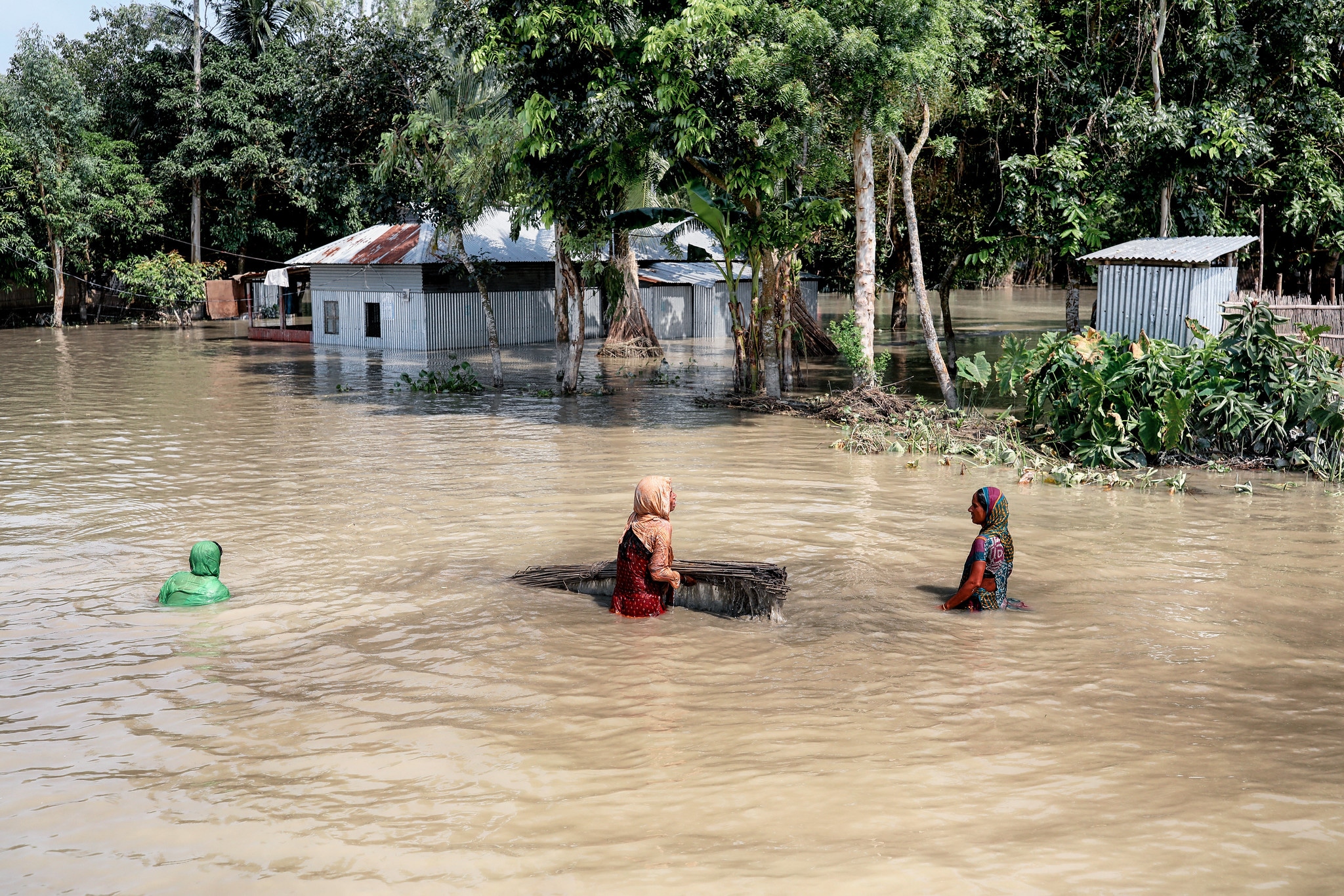 First the Heatwaves, Now the Flooding. Look to South Asia For a ...