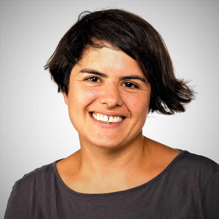 A Guide to Six Greenwashing Terms Big Ag Is Bringing to COP28 - DeSmog