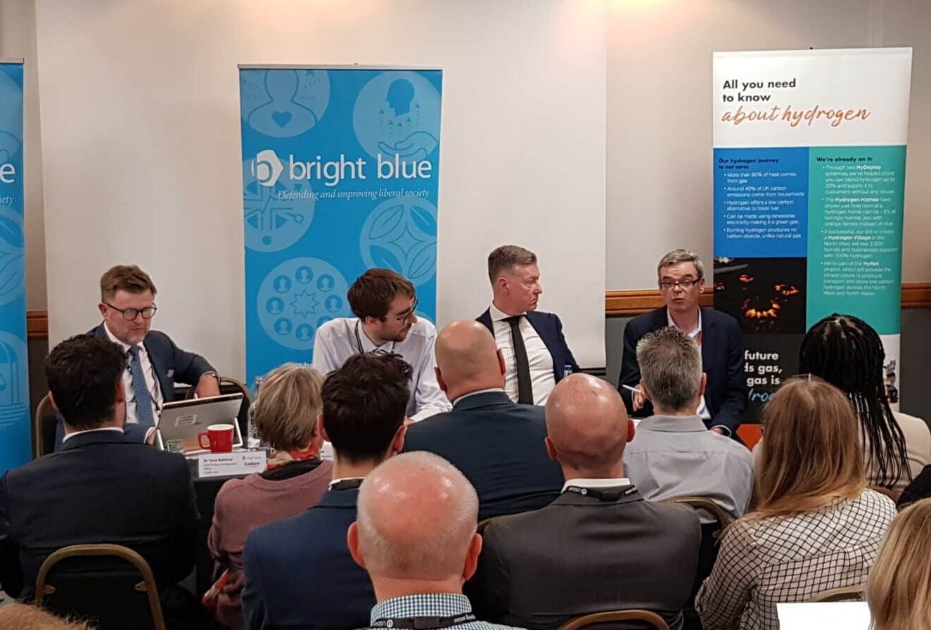 Hydrogen Lobby Targeting Labour Conference with ‘False Solutions’, Say ...