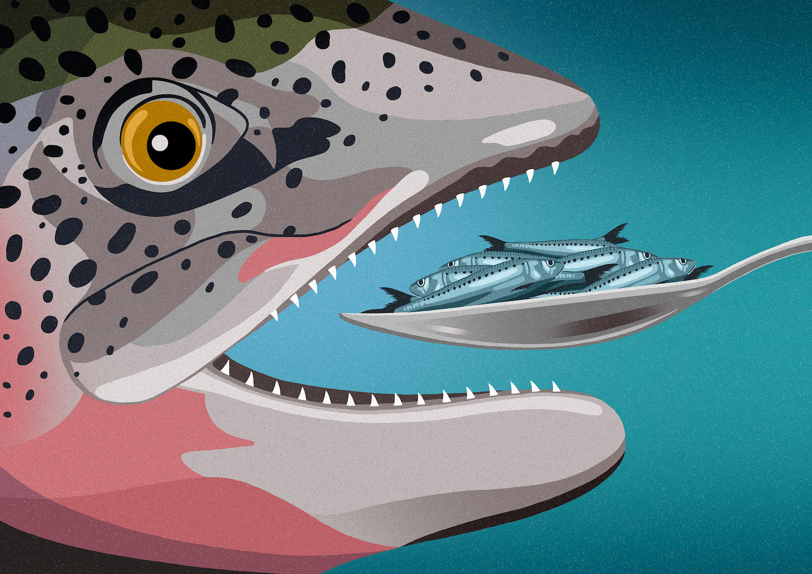 DeSmog Launches Industrial Aquaculture Project - DeSmog