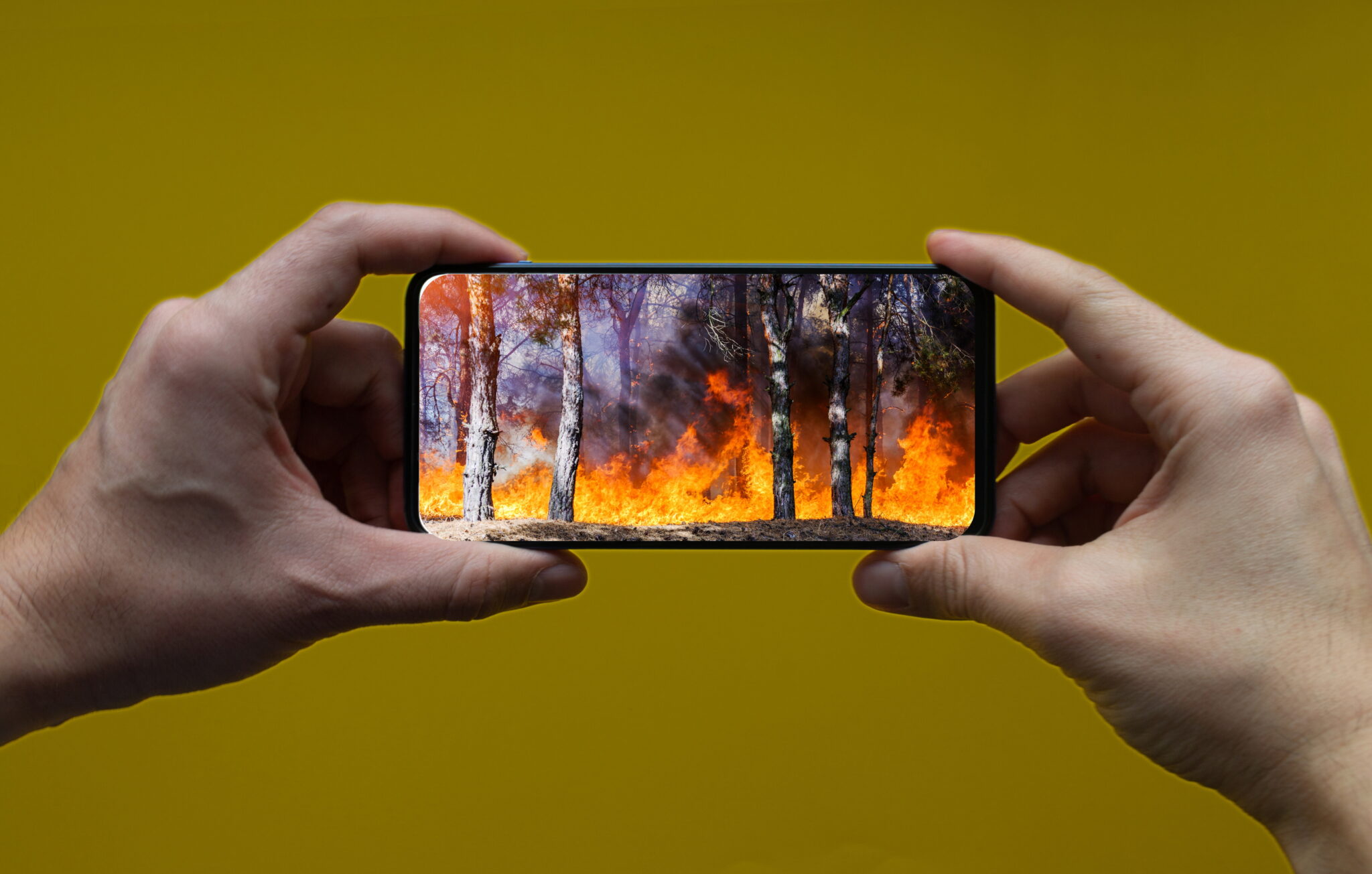 The ABCs of AI and Environmental Misinformation - DeSmog