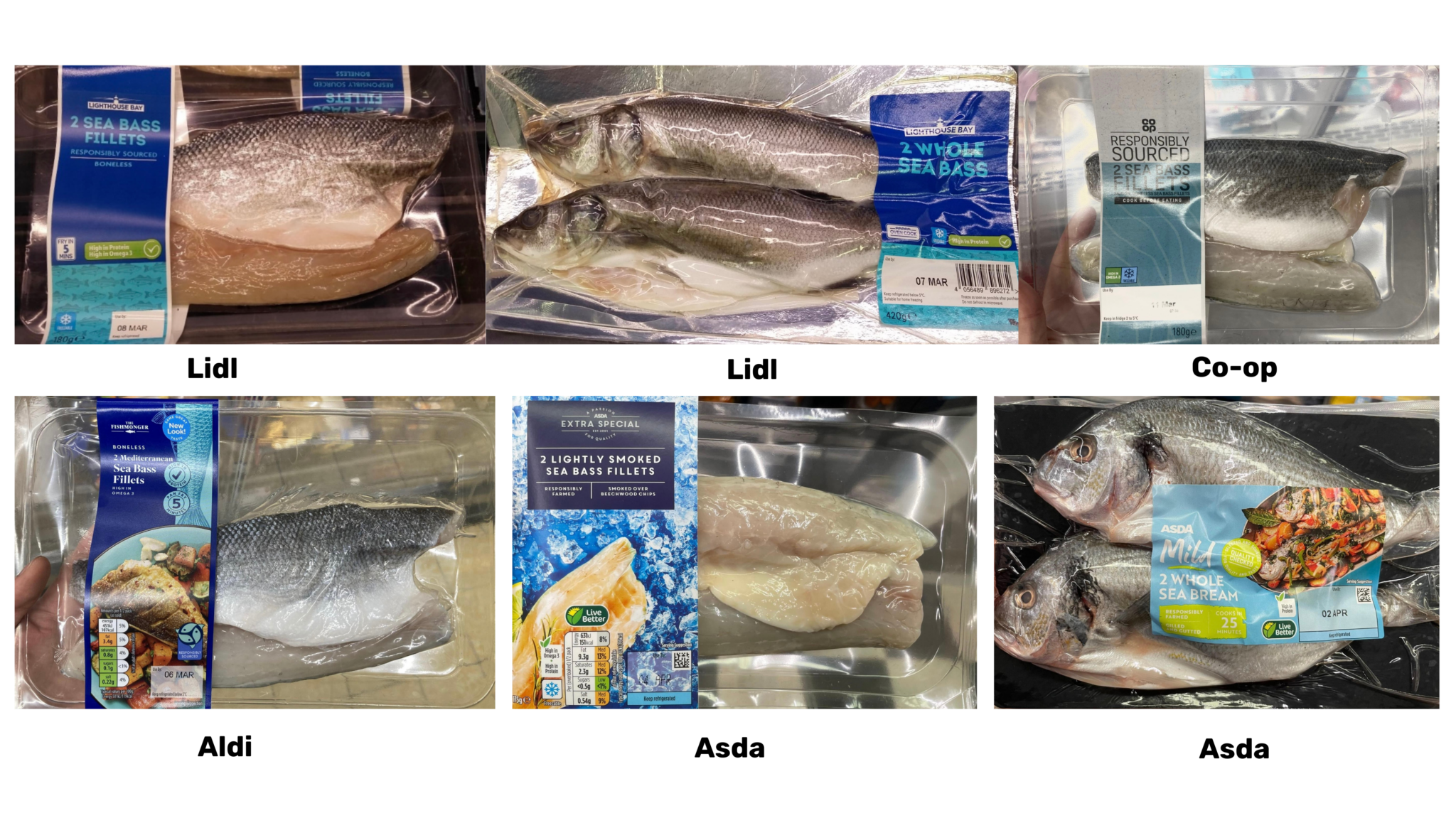 Revealed: UK Supermarket Seabass Linked to Devastating Overfishing in ...