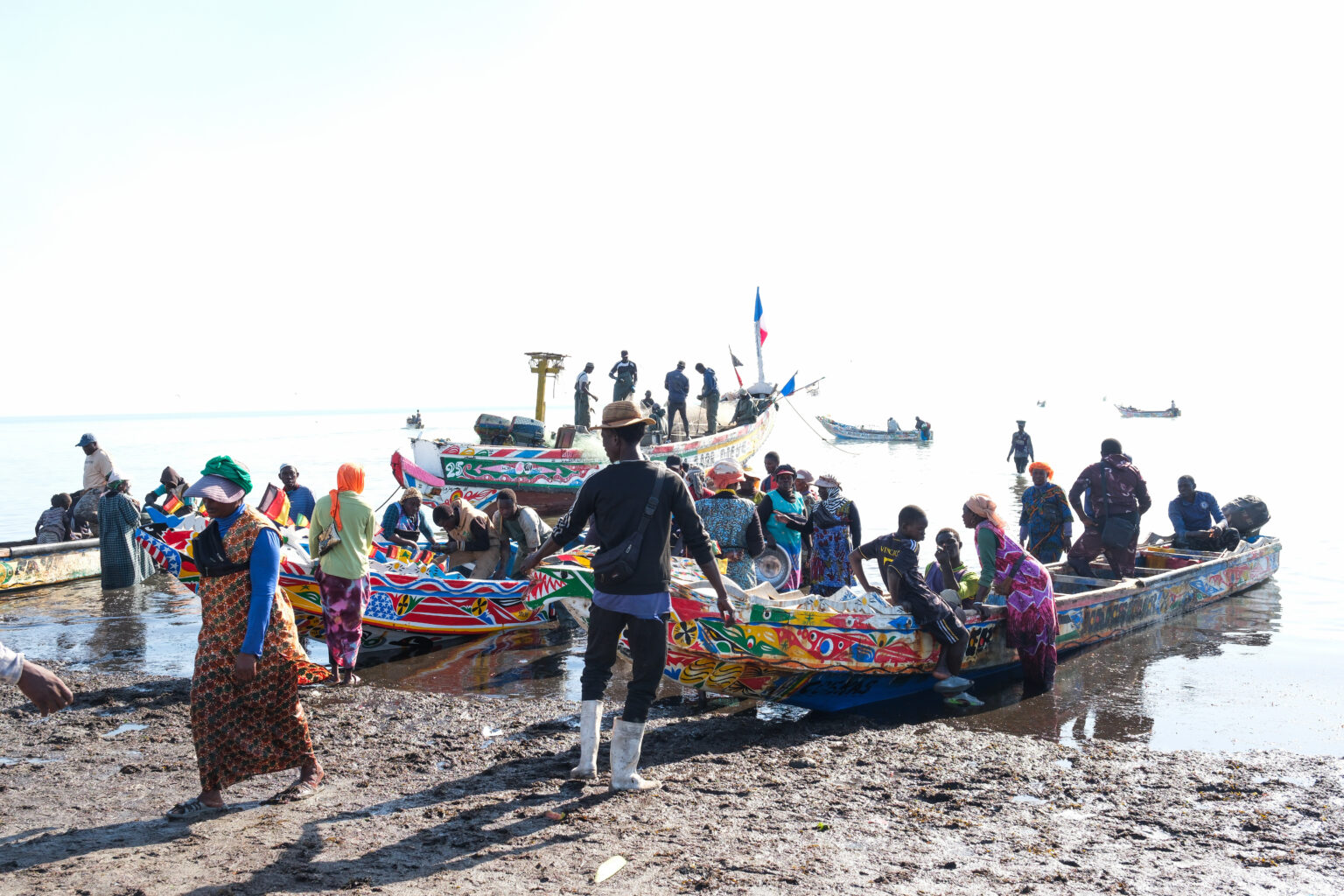 Revealed: UK Supermarket Seabass Linked to Devastating Overfishing in ...